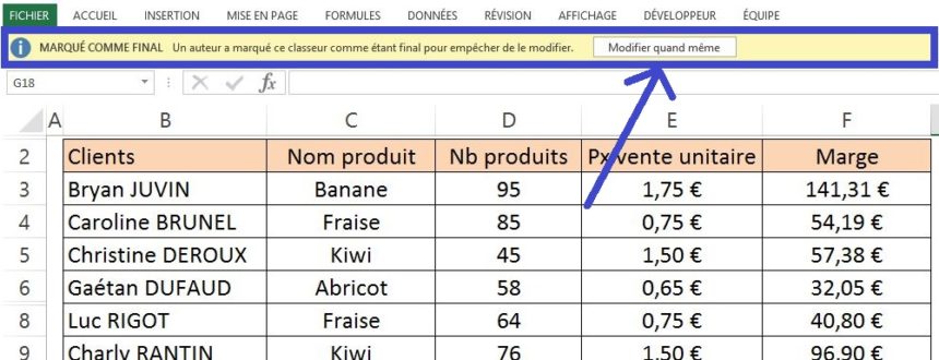 Protéger un fichier Excel (Verrouiller des cellules, mot de passe ...